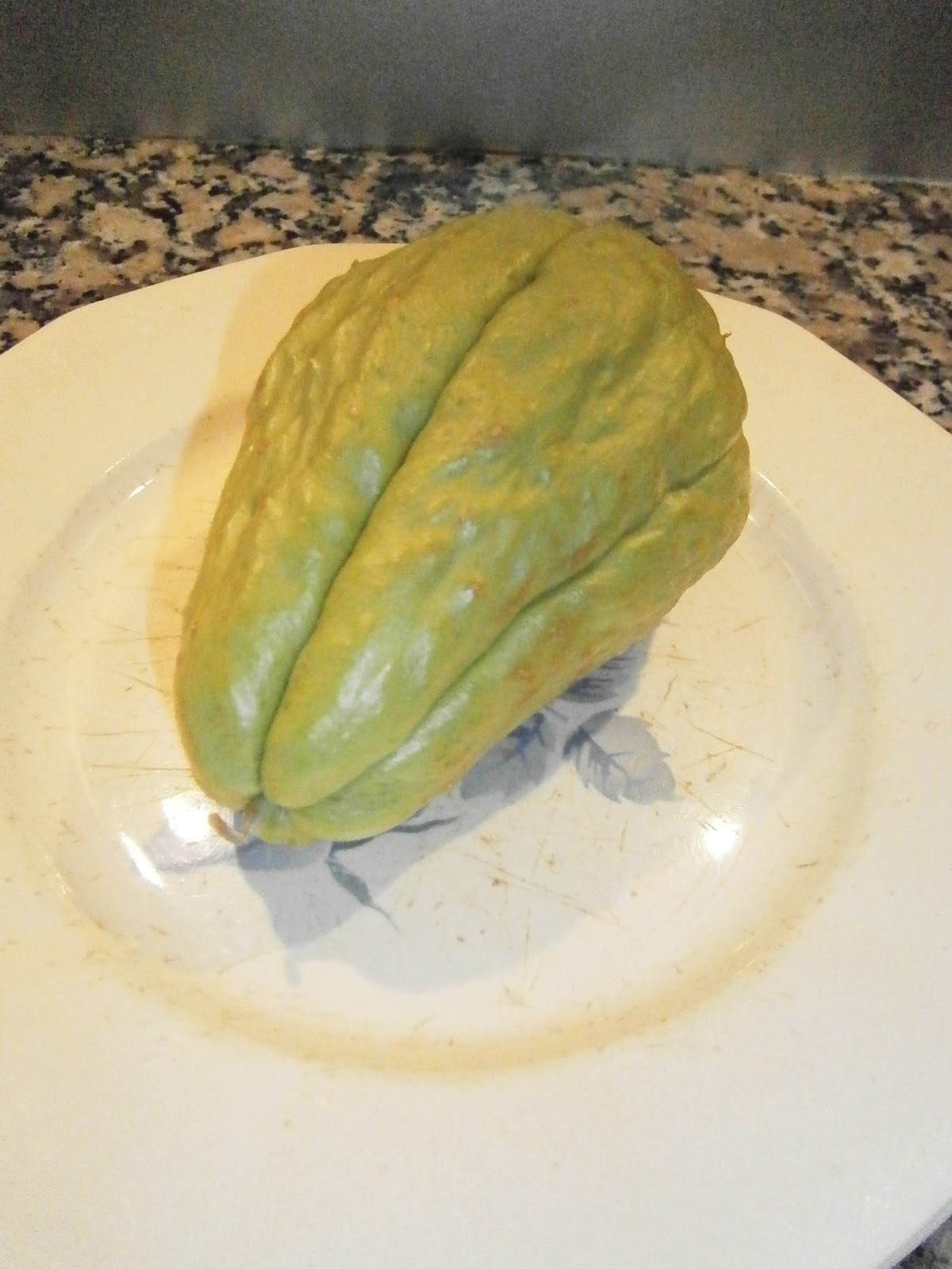 Délices d'une novice: Gratin de chayotte - christophine