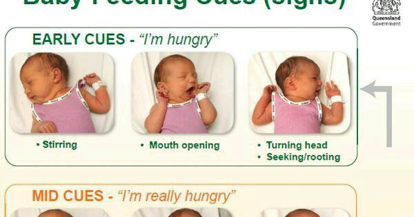 Baby Feeding Cues....