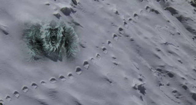 Hiker spotted footprints of the Yeti in remote area of the Himalayas