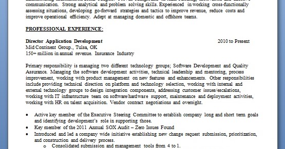Director Application Development Sample Resume Format in Word Free Download