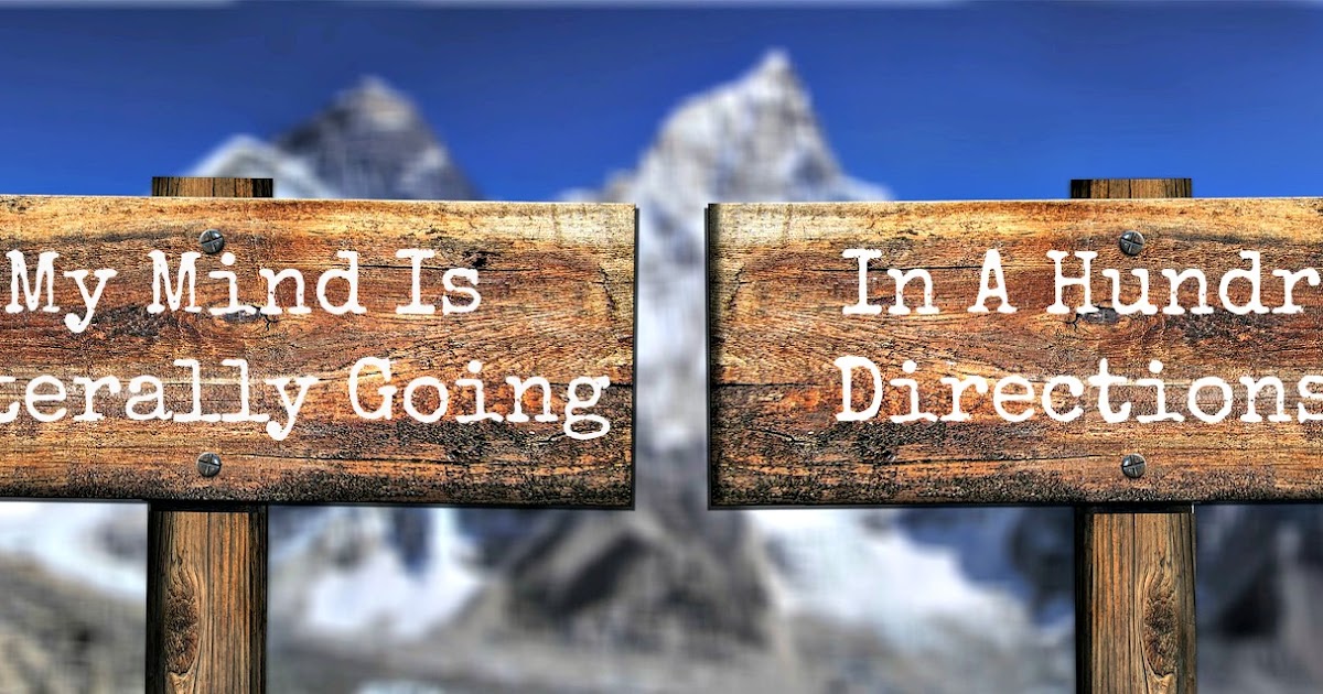 My Mind Is Literally Going In A Hundred Directions...