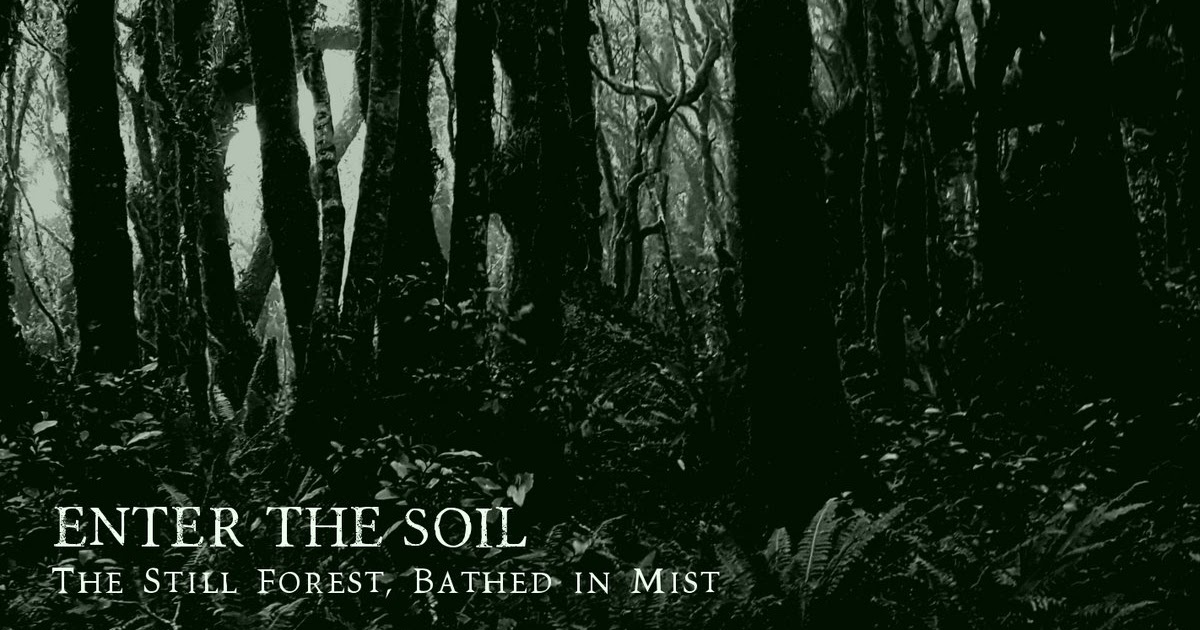 Enter The Soil - The Still Forest, Bathed In Mist (2020) - 𝕸𝖌 23