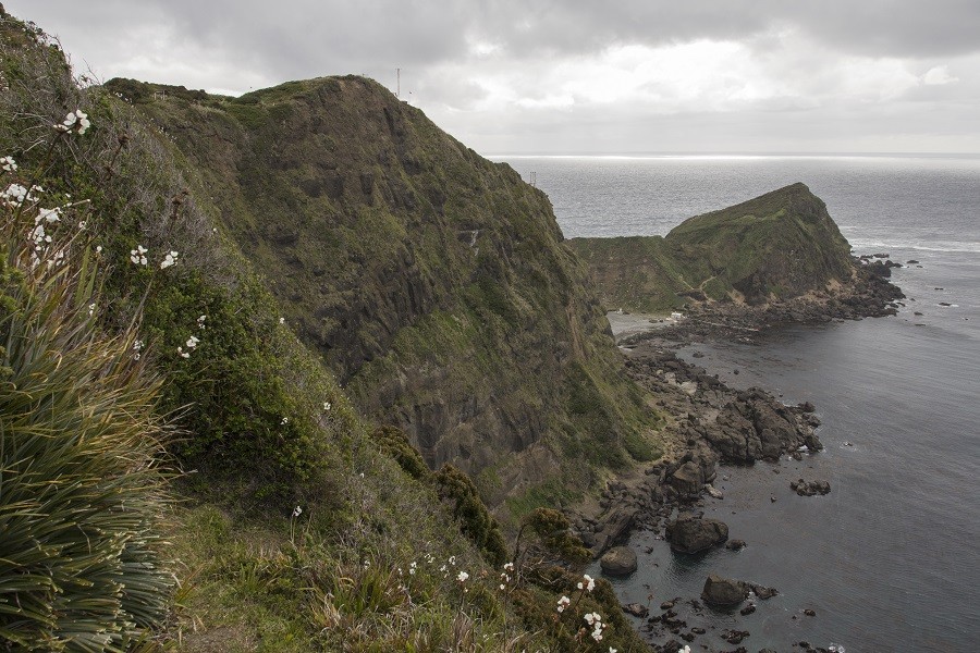 Chile: Campaña busca declarar un Área Marina Protegida en la zona de ...