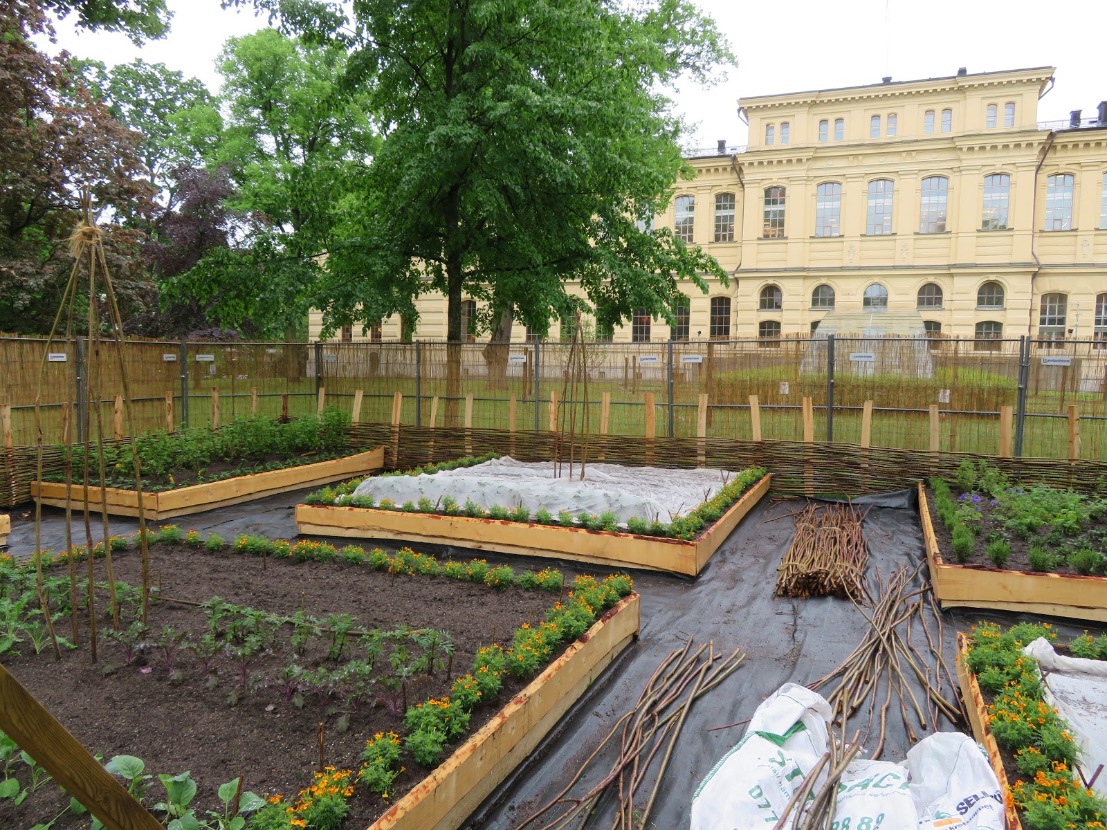 Pensionären på ön: Humlegården i Stockholm