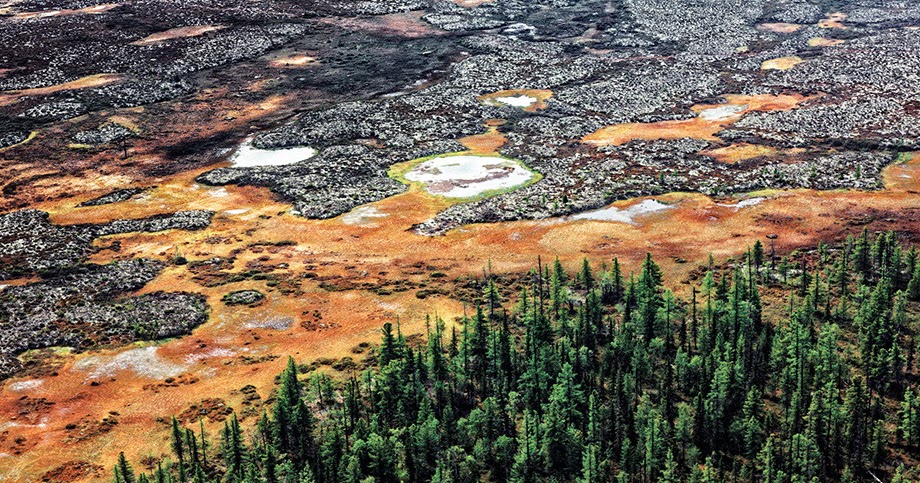 Contaminación del Mundo: Consecuencias de la Contaminación.
