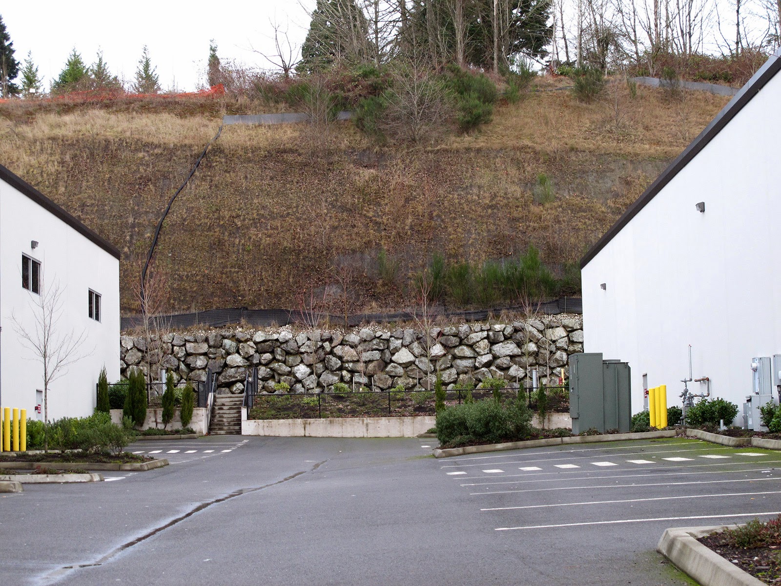 Neighbors To Save Wellington Hills Park: Wellington Hills Park western ...