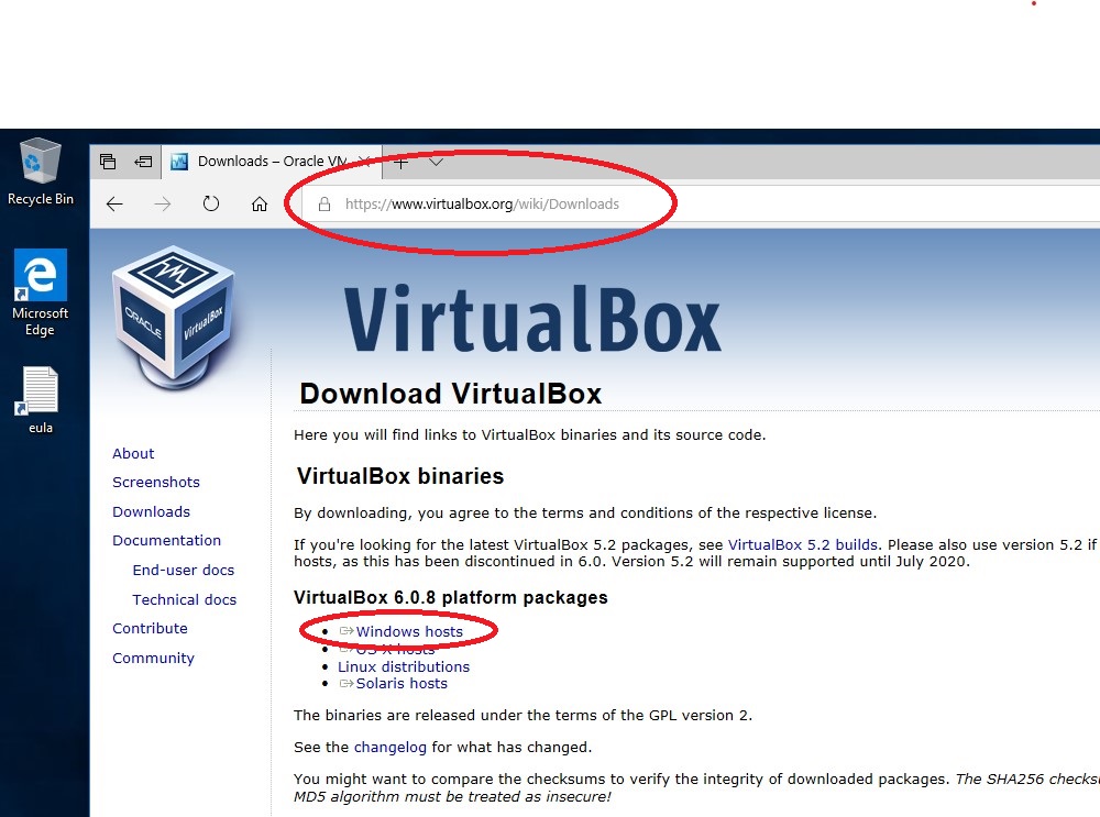 Installing Windows 10 virtual machine guest on Virtualbox for development environments