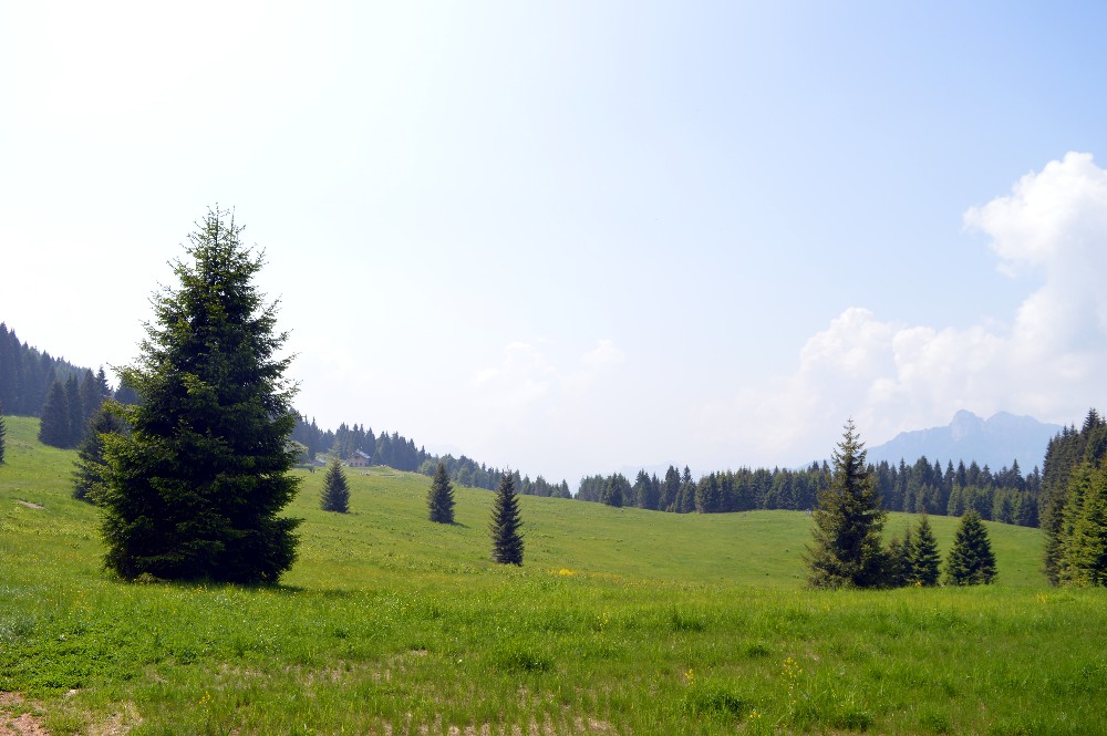 Cosa vedere a Luserna, un'isola tra le montagne - Montagna di Viaggi