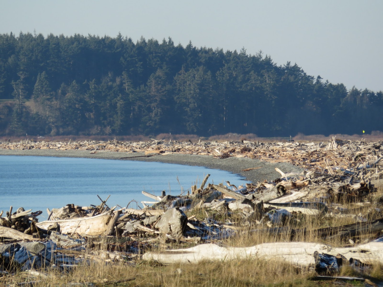 Gravel Beach: Keystone Spit