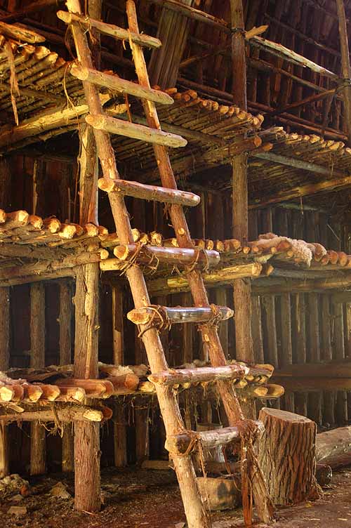 Heroes, Heroines, and History: THE INTERIOR OF THE IROQUOIS LONGHOUSE ...