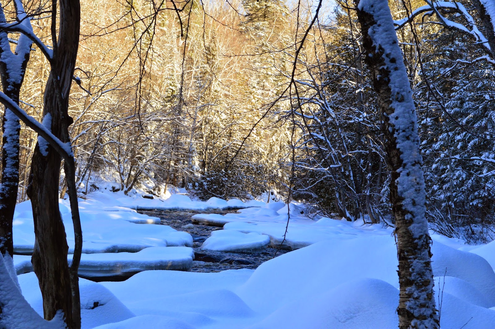Parc de la rivière Doncaster