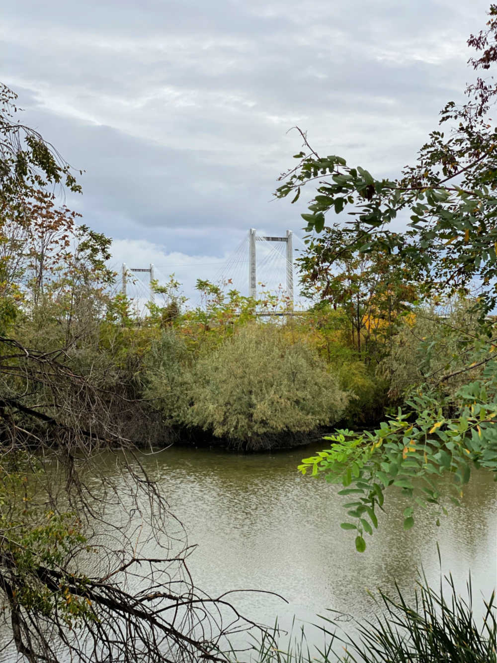 Everything You Need to Know Before Vising the Tri-Cities