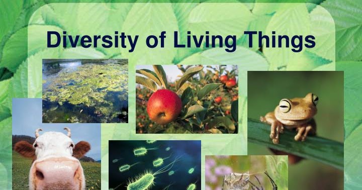 Diversity of Living Things ~ Ilmu alam dan teknologi