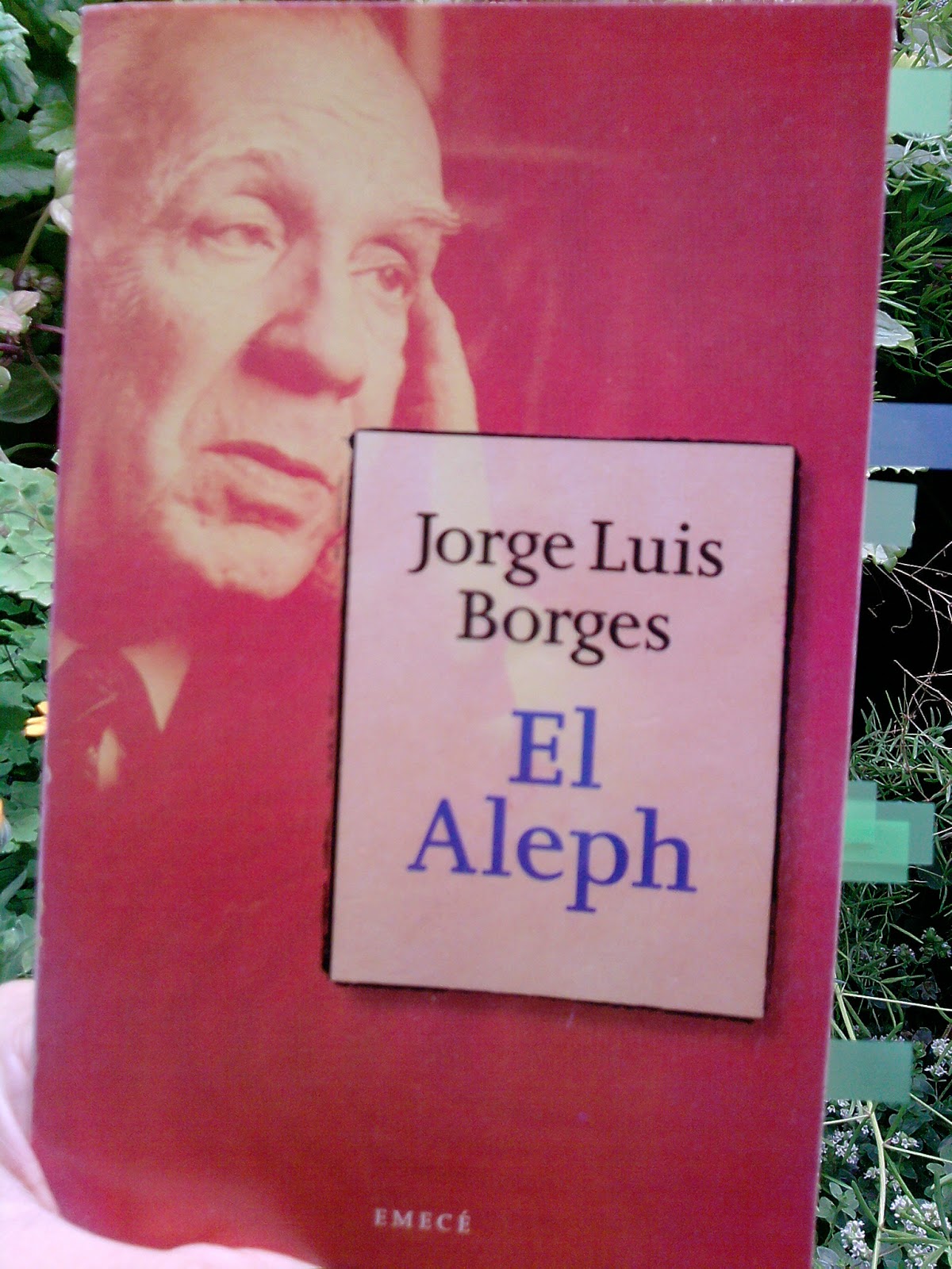 Elige un libro: RESEÑA: El Aleph [ BORGES ]