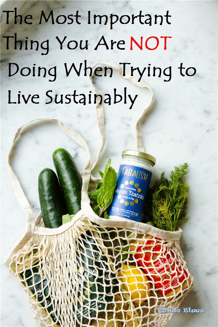 Condo Blues: The Most Important Thing You Are Not Doing to Make ...