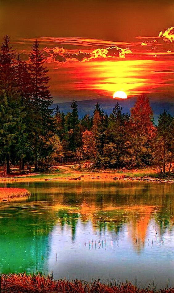 Natureza Maravilhosa - Enciclopédia Global™