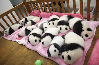 Pandas ..#