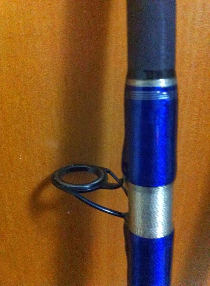 Canna Colmic Promessa xt 20/100g | uno squalo in blog