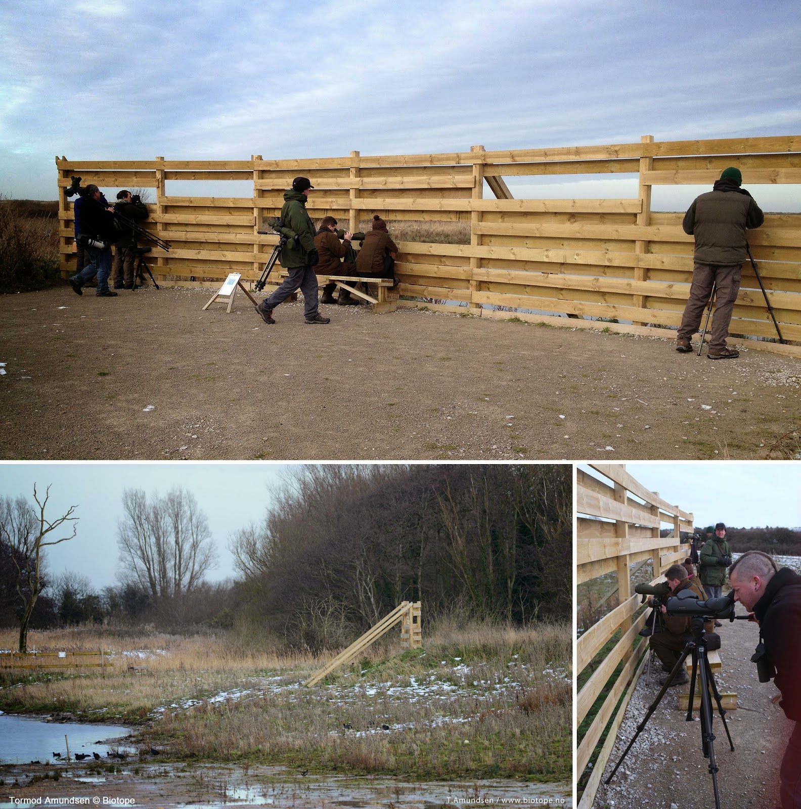 biotope: Birding Architecture - bird hides & nature reserve innovation