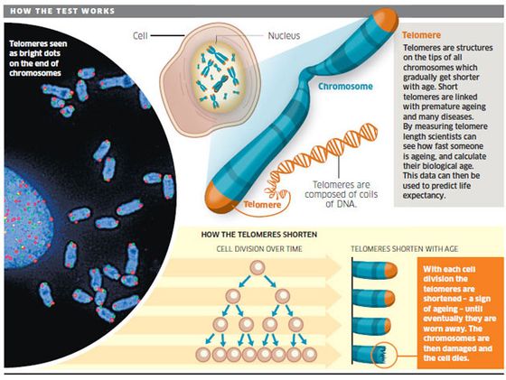 The Science of Medicine