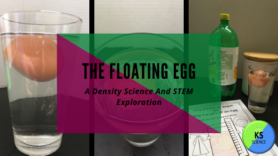 Can You Make An Egg Float? Density Science Experiments