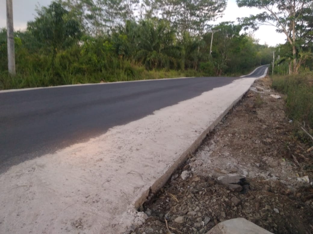 Pekerjaan Rabat Beton Bahu Jalan Jalinsum Way Kanan Diduga dikerjakan ...
