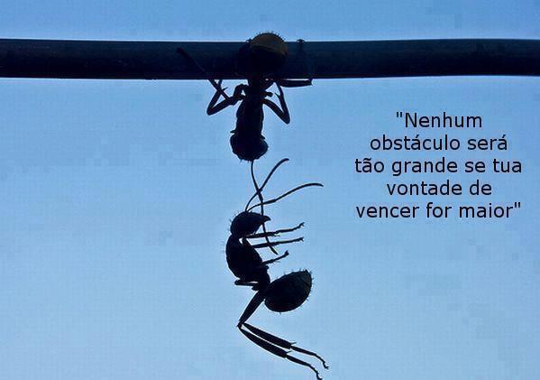 Café com Ciência: Vontade: um exemplo de explicação fictícia para o ...