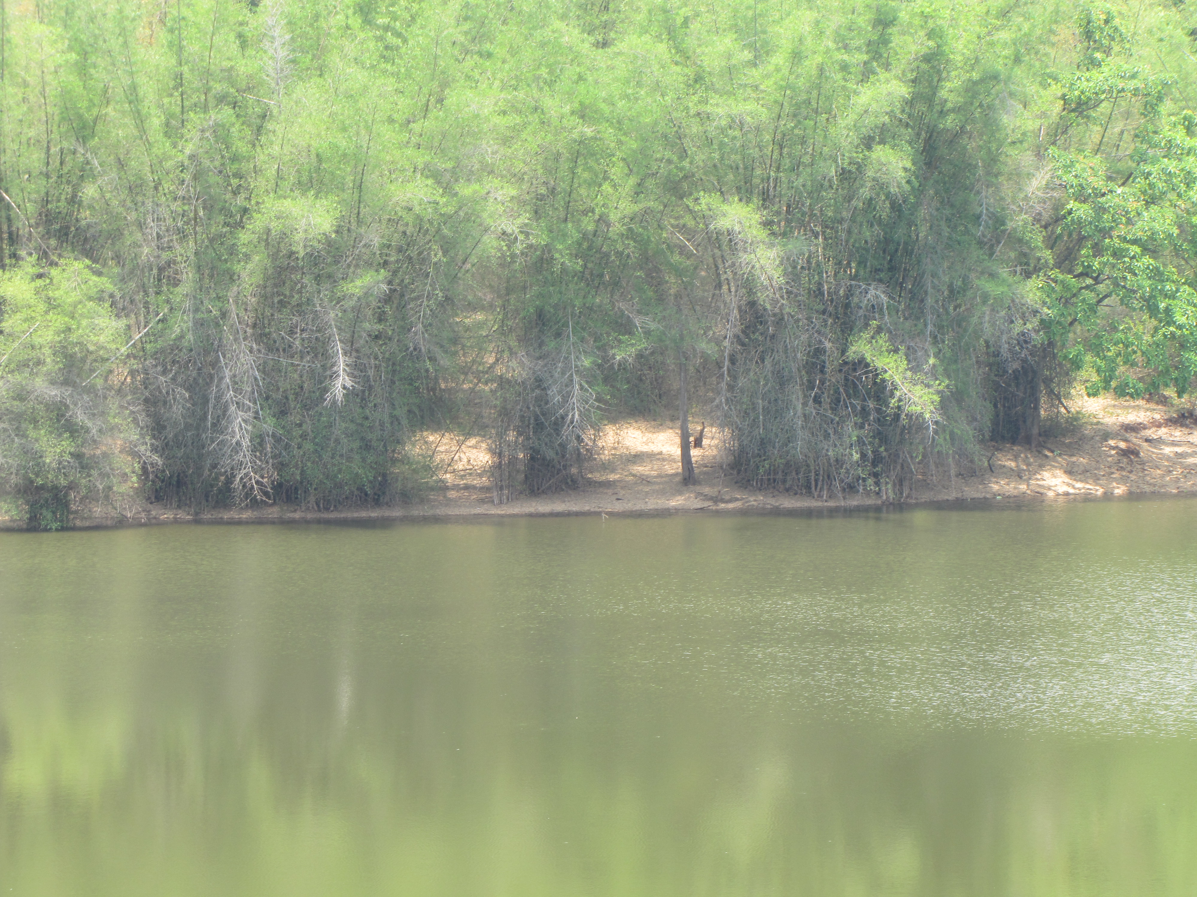 Panchapalli & Bettamugilalam: Hidden getaways from Bangalore