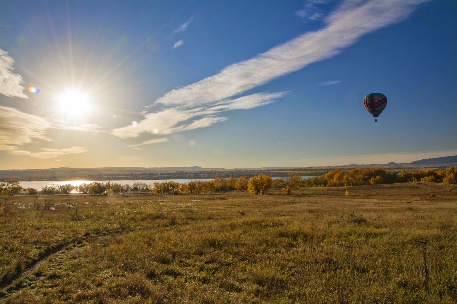 A Tree Falling: Chatfield State Park, October 2014