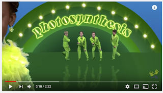 4º Educación Primaria: Photosynthesis song