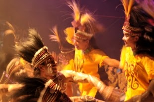 Safari and Indonesia Tourism