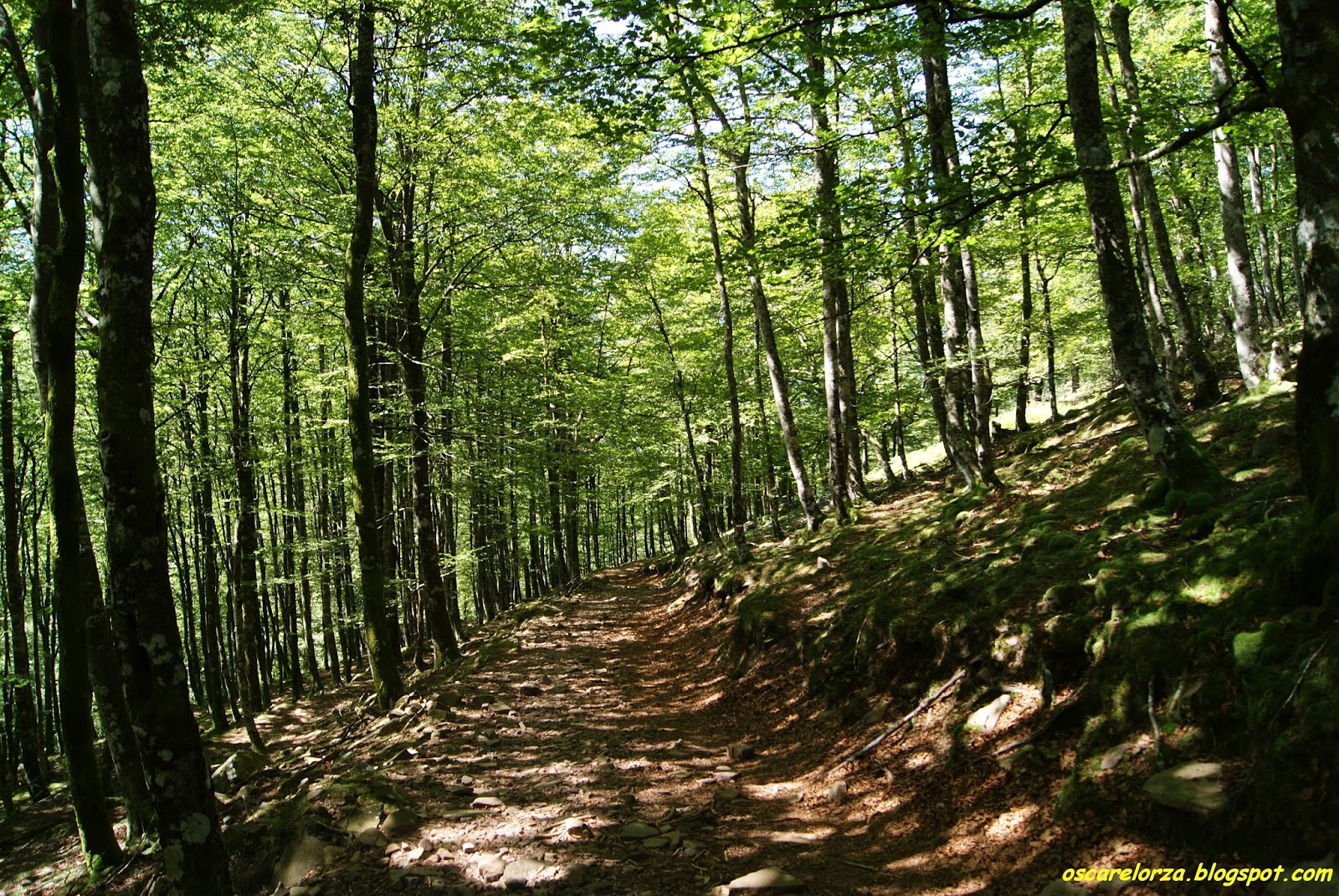 Monteadicción: Saioa ( Desde el Puerto de Belate )