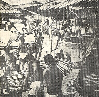 Renacimiento de la industria azucarera en Puerto Rico: 1780-1823 ...