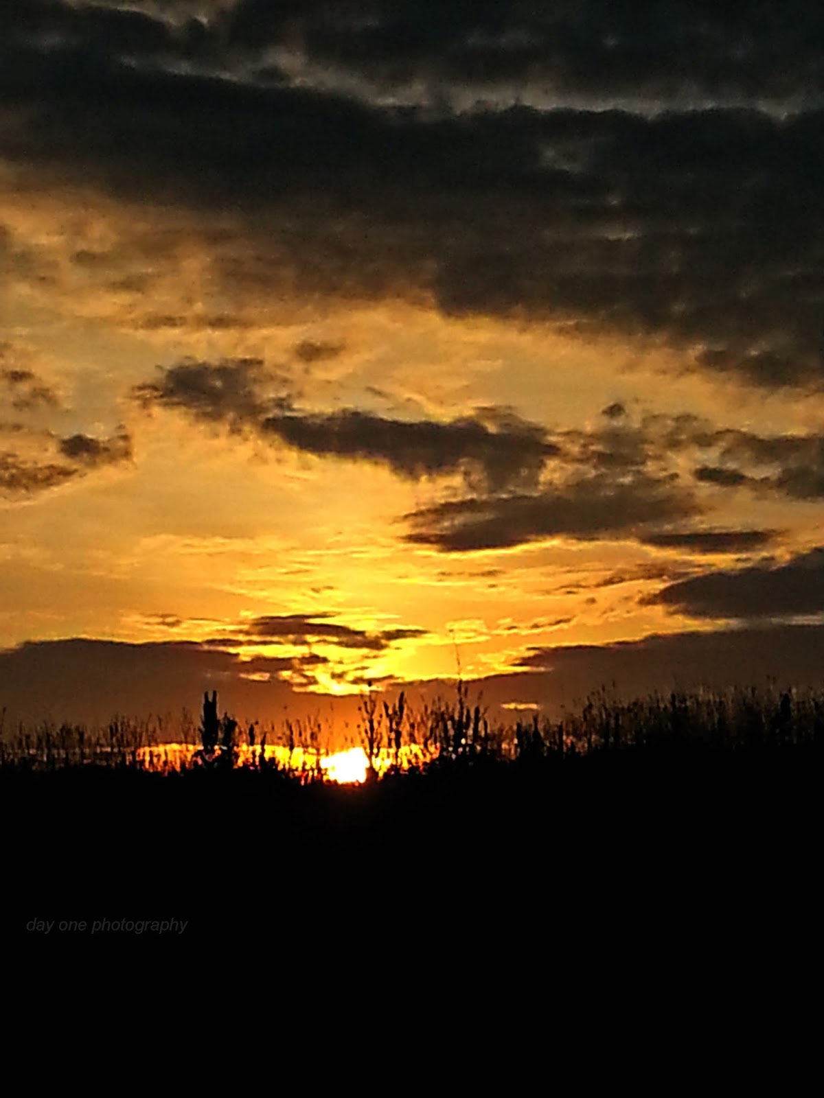 Day One Photography: Evening