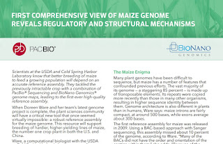 パックマンの挑戦 － PacBioシークエンサー: New Maize Reference Genome 出た！