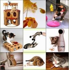 Alat Permainan Yang Sesuai Untuk Kucing ~ Blog Kucing | I Love Kucing