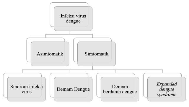 DBD karena gigitan nyamuk atau virus ? Kenapa penting ? - My TimeLine