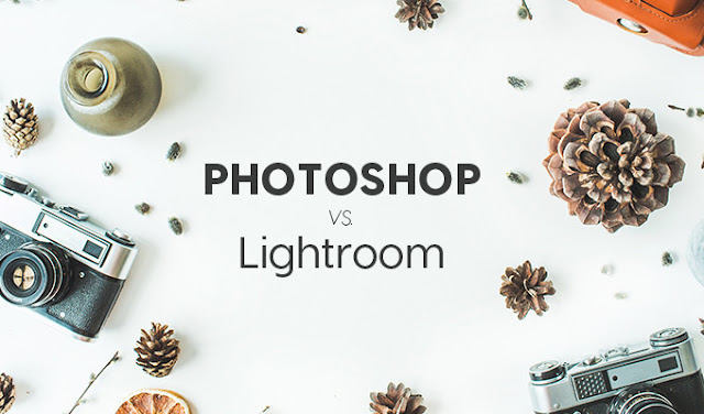 What's The Difference Between Photoshop and Lightroom? tutorial from ...