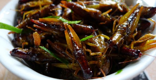 Plats à base d’insectes célèbres dans la cuisine vietnamienne