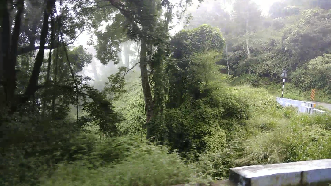 Magical Land Of Green World On Earth: Kadamparai Dam or Valparai Dam