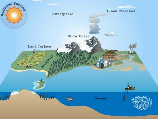 Biology Tutorials: Basic Ecological Concepts