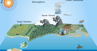 Biology Tutorials: Basic Ecological Concepts