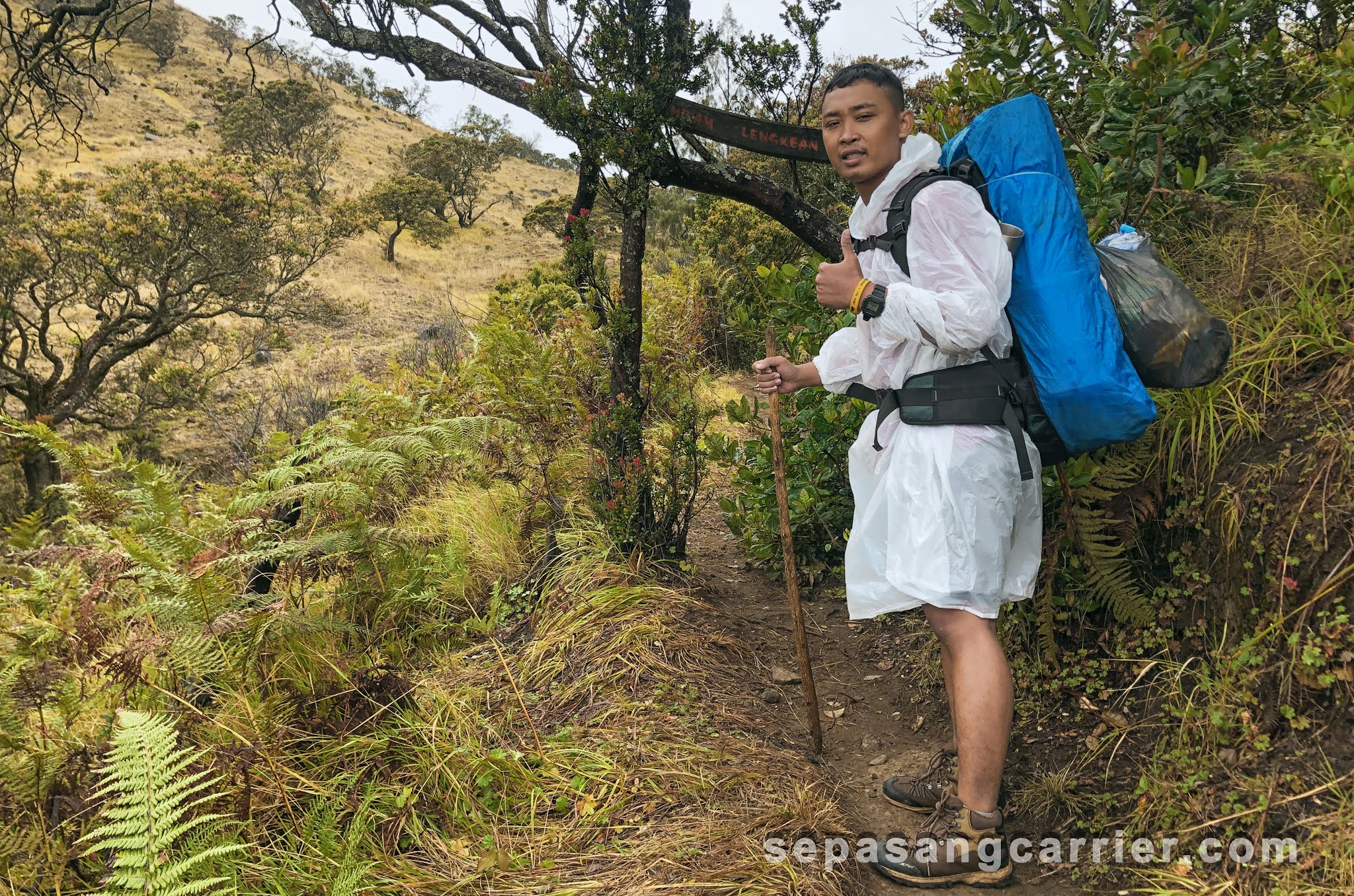 Pendakian Gunung Arjuno Via Cangar Sumber Brantas - SEPASANGCARRIER