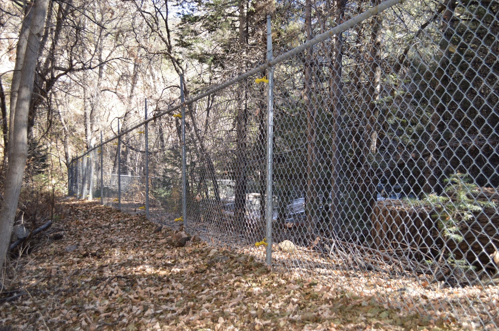 Mark Thomas - Geology Blog: STERLING SPRINGS FISH HATCHERY