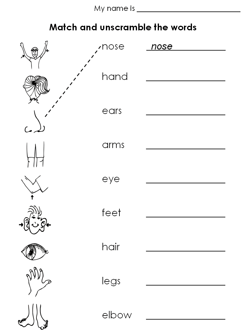 KNOWING MY BODY: EXERCISES