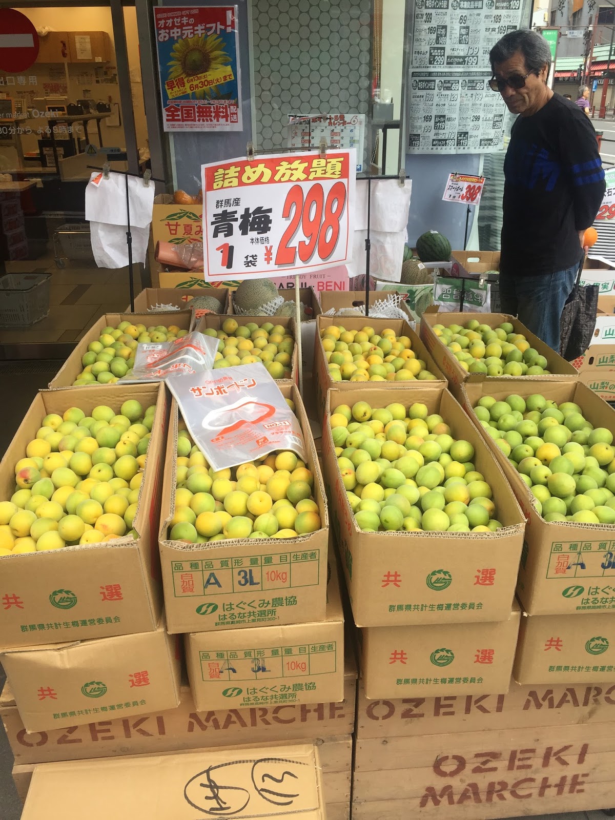 Hawaii To Tokyo!: Asakusa Arrival