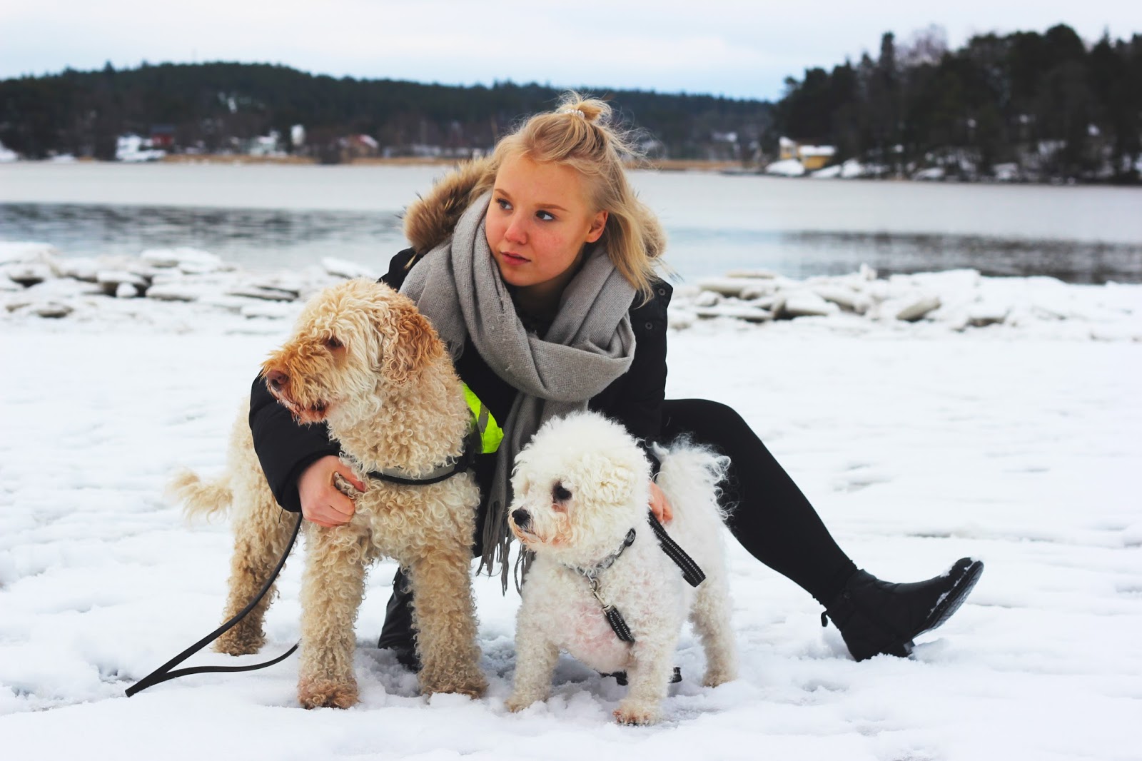 Siiri&Siiri: helmikuuta 2016