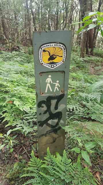 Steventure: Mount Keira - Ken Ausburn Track