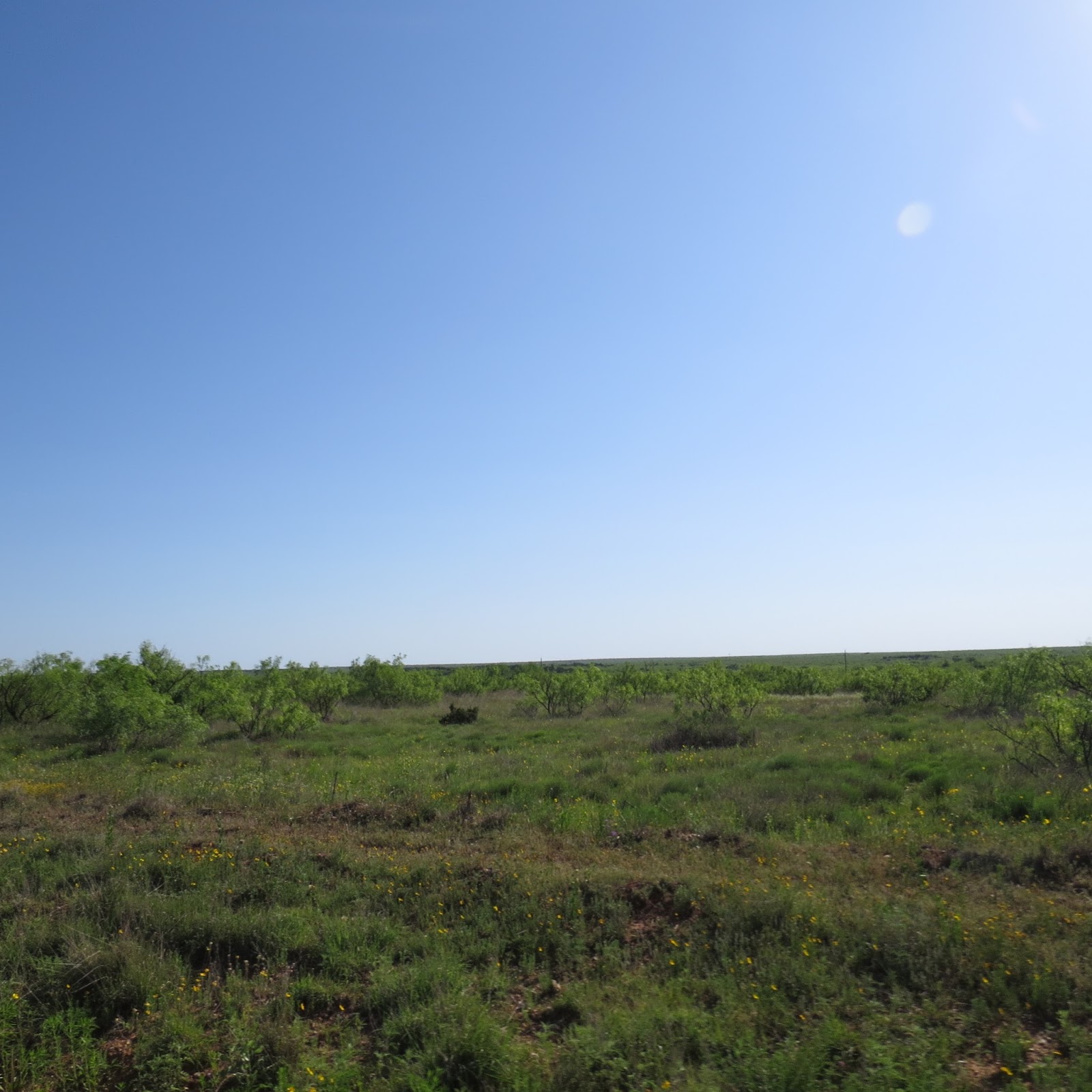 Navasota Ranch: Triangle Ranch, Cottle County Texas
