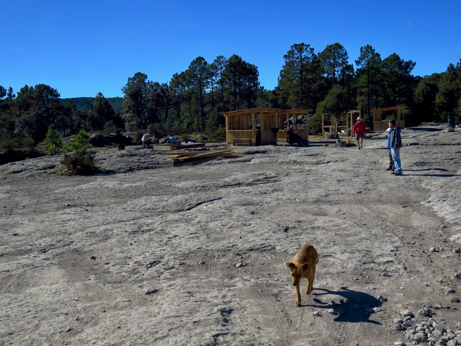 Wandering w/ Serenity: Parque Natural Mexiquillo